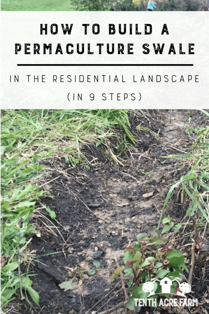 How to Build a Swale in the Residential Landscape [+ Free Download ...