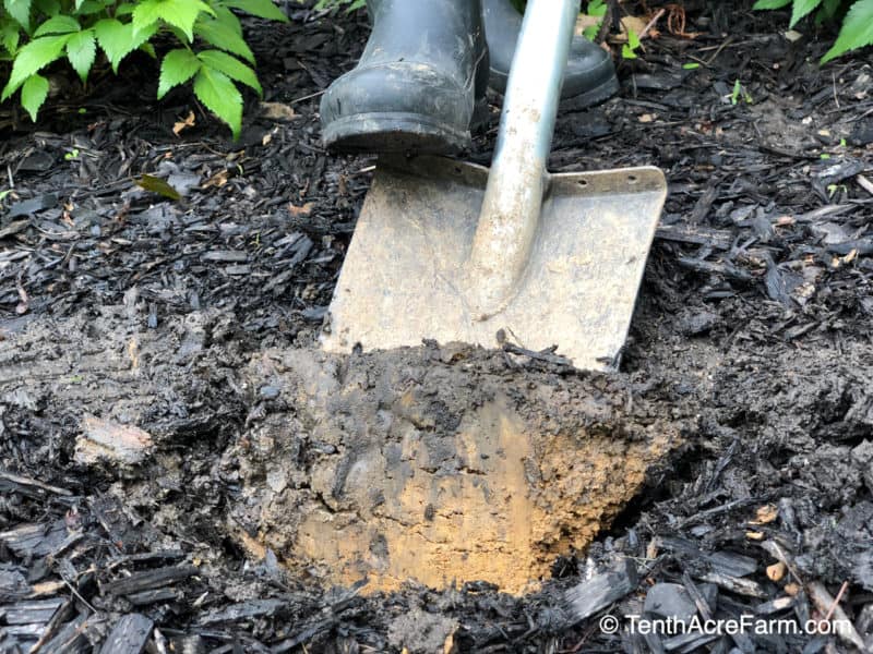 How to Improve Clay Soil in 6 Steps | Tenth Acre Farm