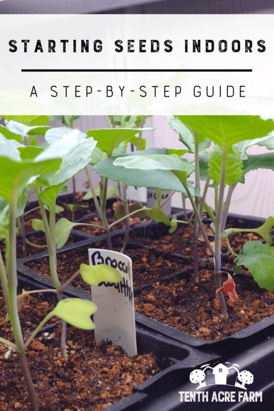 Starting Seeds Indoors: A Step-by-Step Guide | Tenth Acre Farm